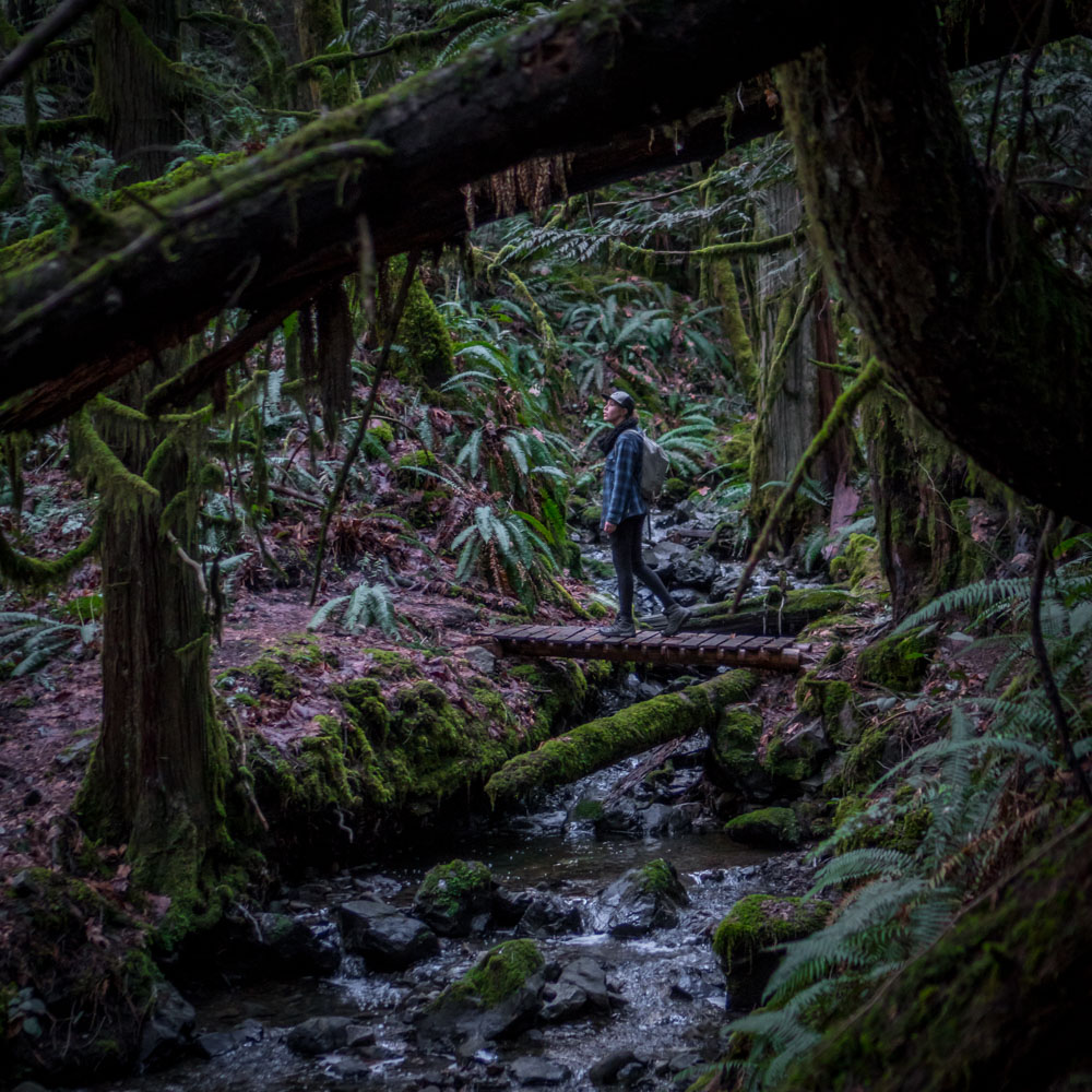 Two Port Alberni Day Hikes You Should Do - Mindful Explorer